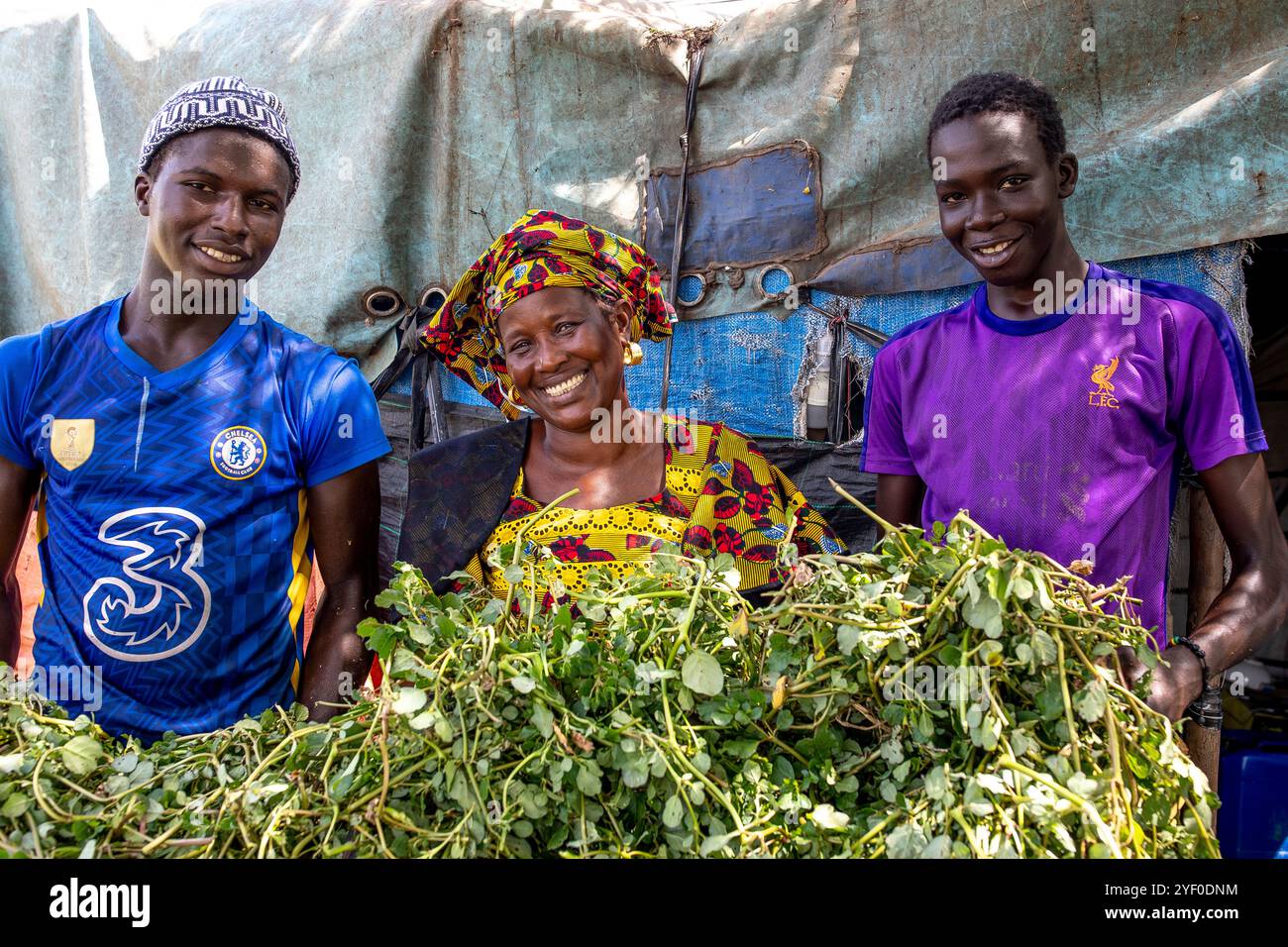Farm workers in Pout, Senegal Stock Photo - Alamy