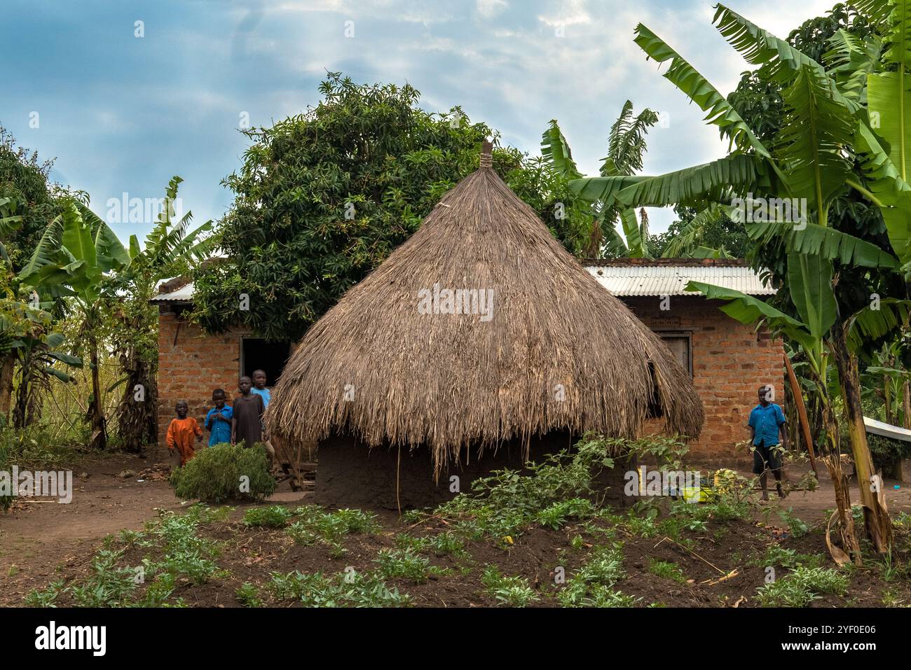 Village house, near lake Albert, Uganda Stock Photo - Alamy