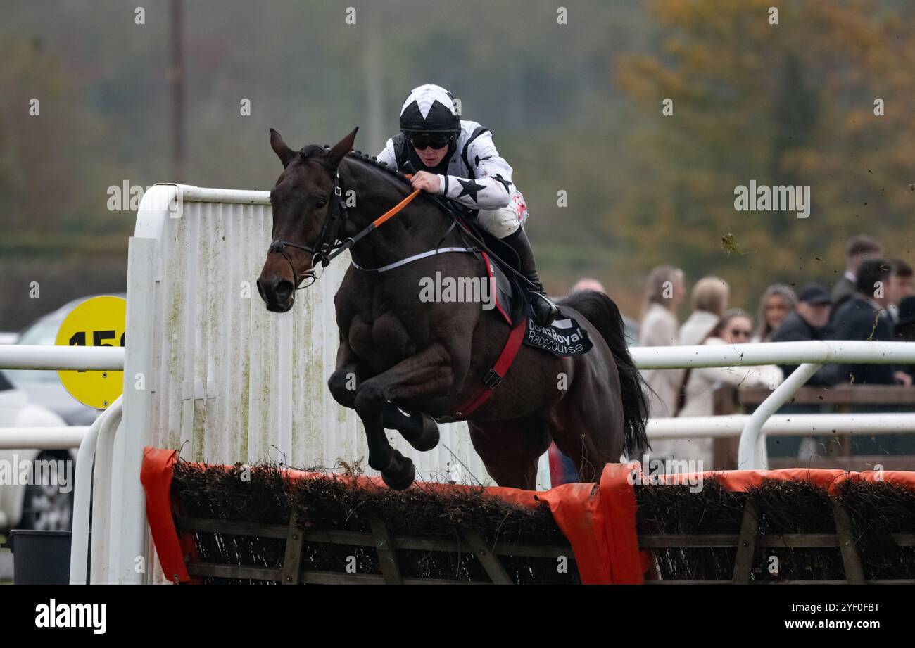 Romeo coolio horse hi-res stock photography and images - Alamy