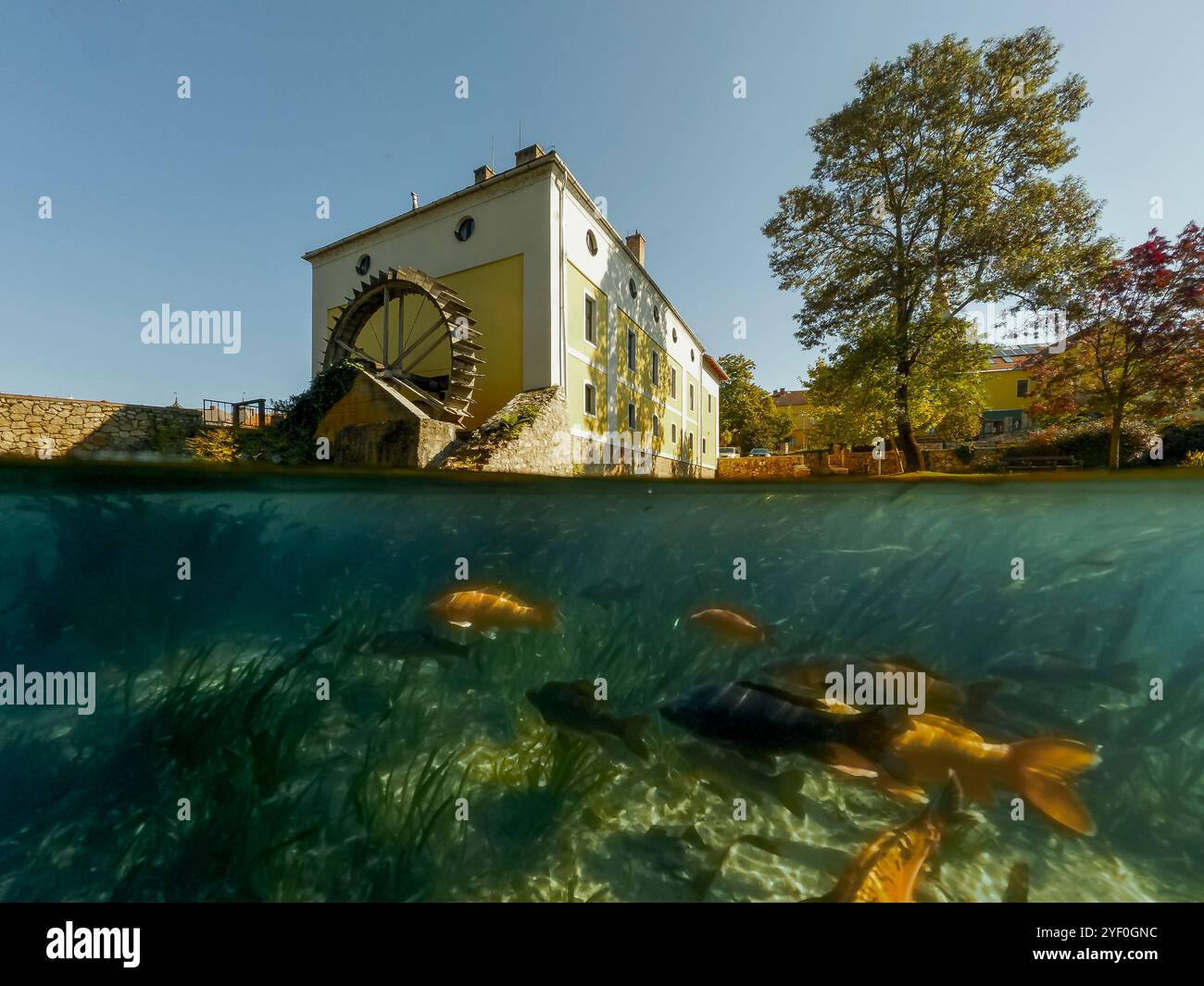 Tapolca latnivalok hi-res stock photography and images - Alamy