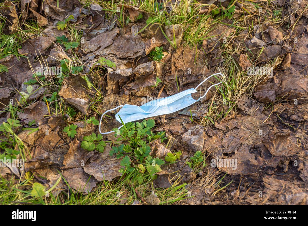 disposable mouth mask pollution in nature forest Stock Photo - Alamy