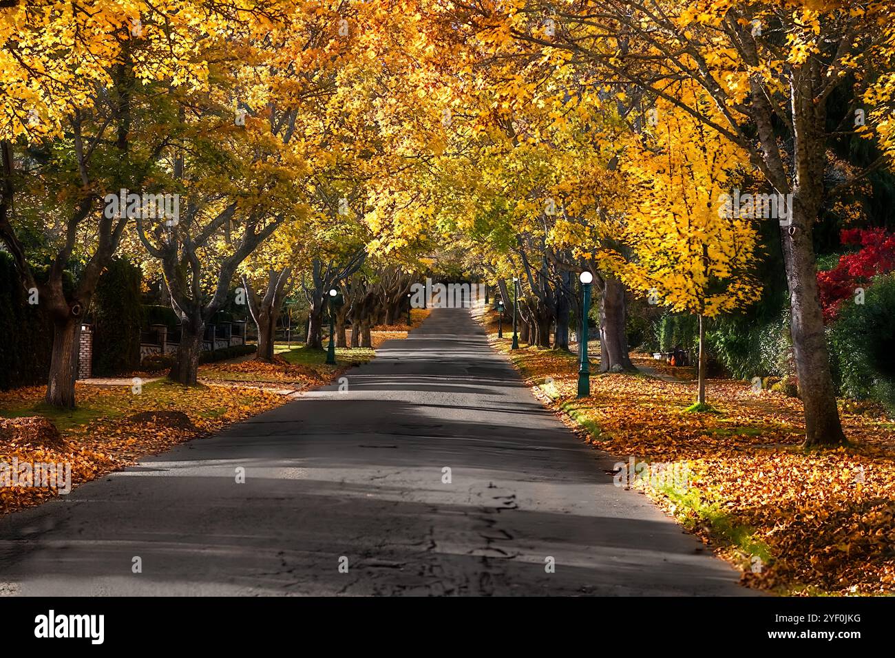 Victoria british columbia street scene hi-res stock photography and ...