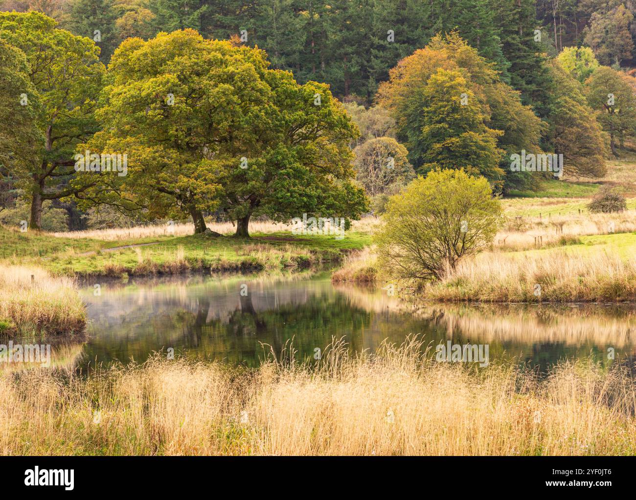 Elterwater walkers hi-res stock photography and images - Alamy