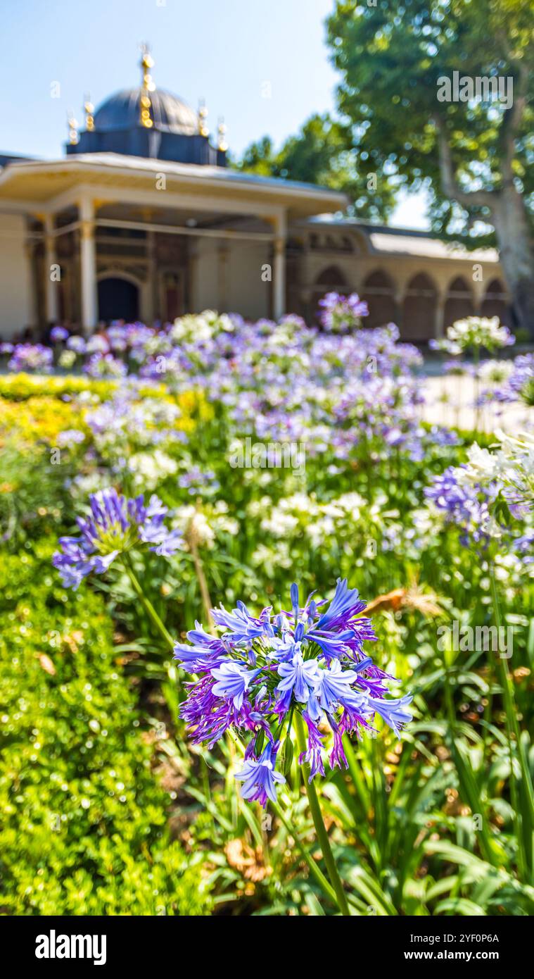 Topkapi Palace's Gate of Felicity in Istanbul, Turkey Stock Photo - Alamy