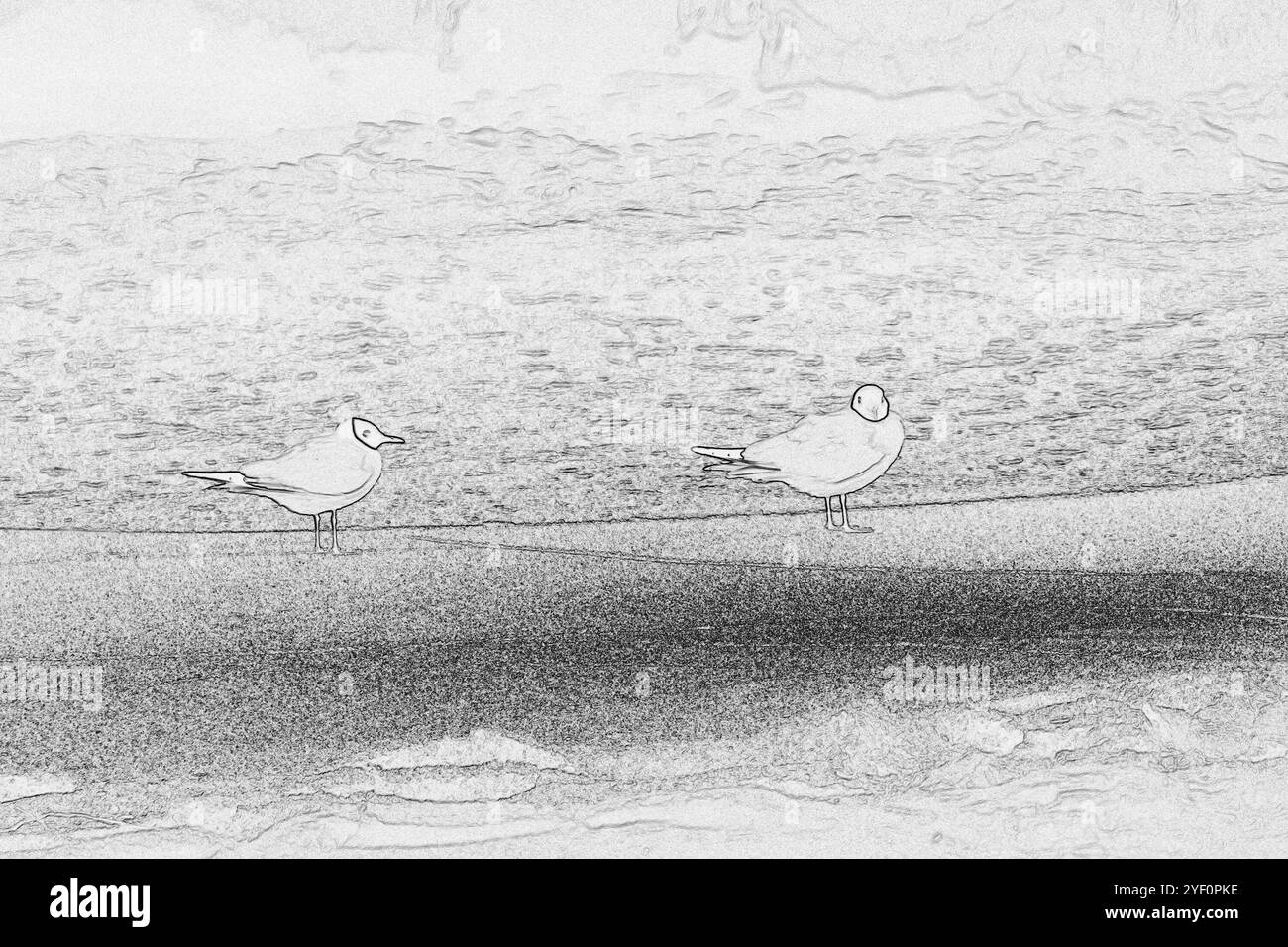 A monochromatic drawing depicting two birds peacefully standing in the ...