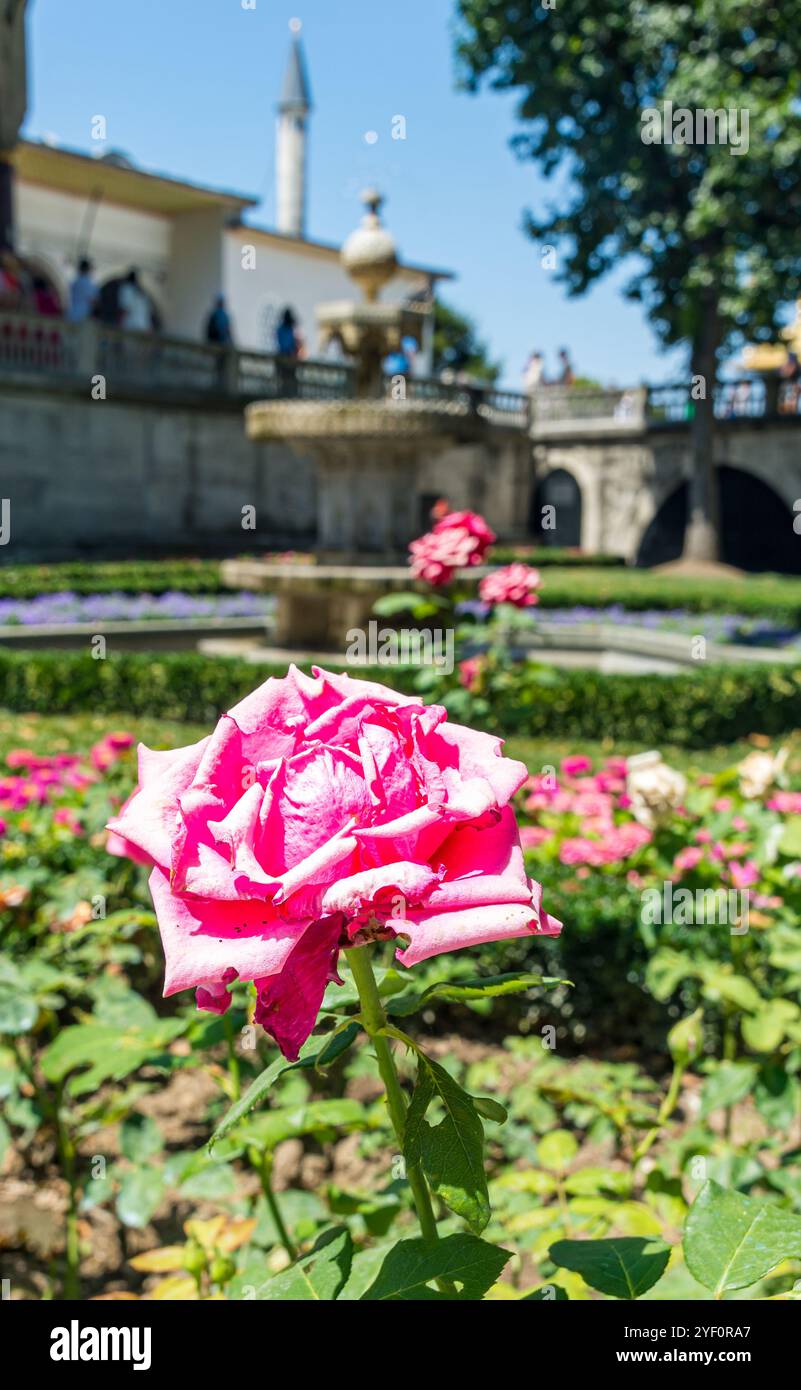 Topkapi Palace's Tulip Garden in Istanbul, Turkey Stock Photo - Alamy