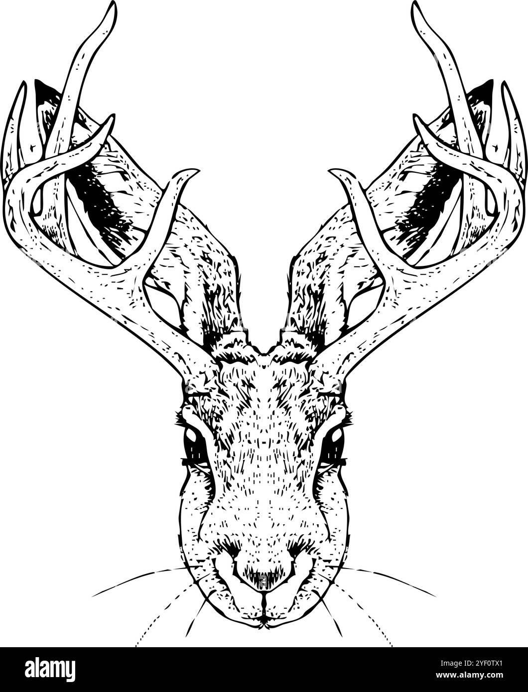 Jackalope - hand drawn illustration of fantasy jackrabbit | black and ...