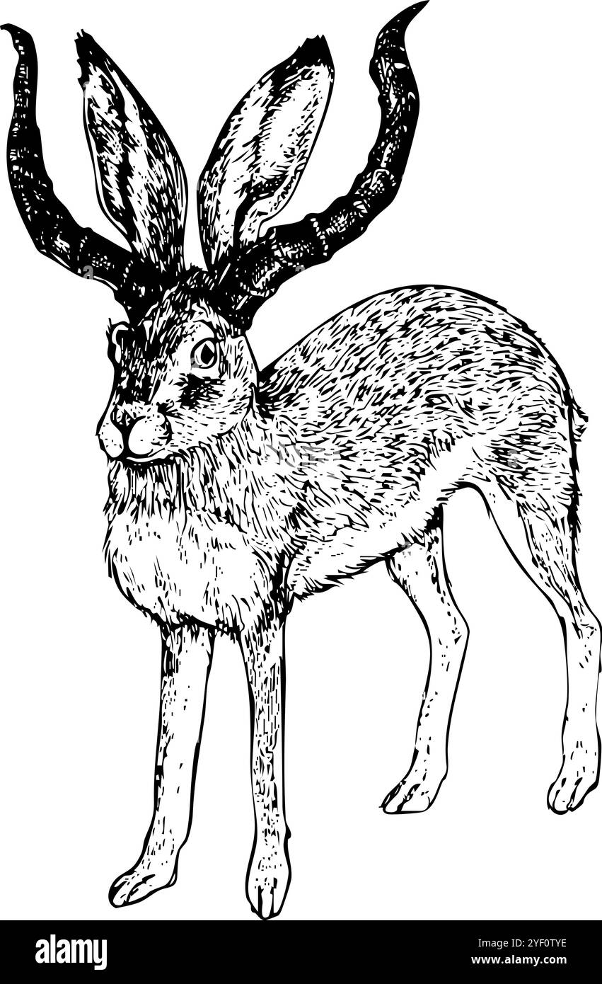 Standing jackalope - hand drawn illustration of fantasy jackrabbit ...