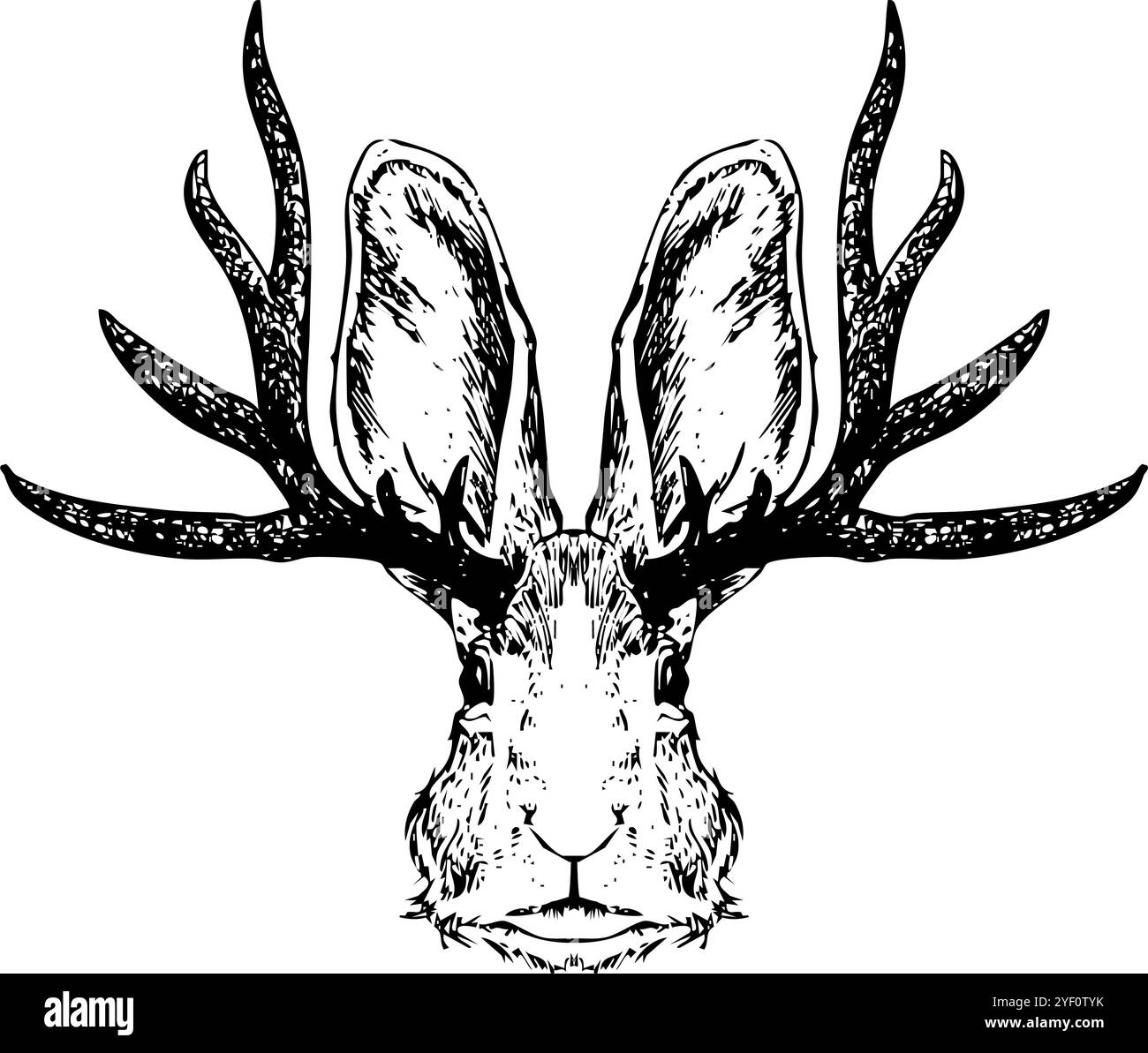 Jackalope - hand drawn illustration of fantasy jackrabbit | black and ...