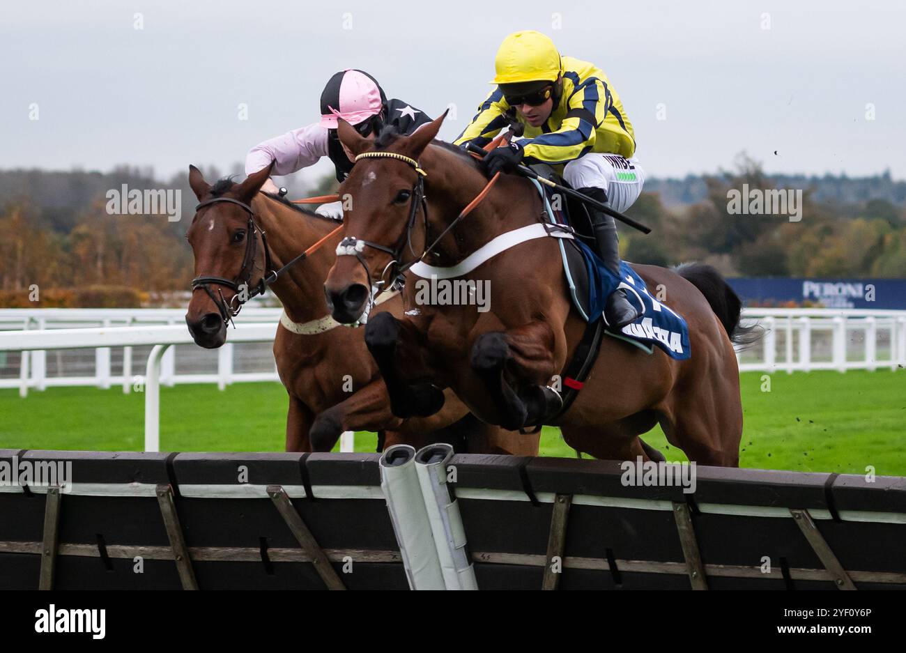 Ascot races our champ hi-res stock photography and images - Alamy