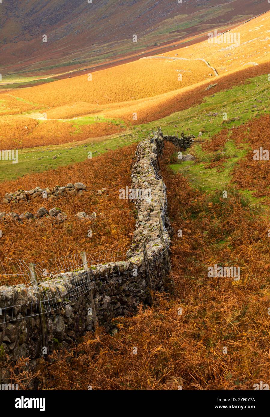 Stone Wall on Kirk Fell Stock Photo - Alamy