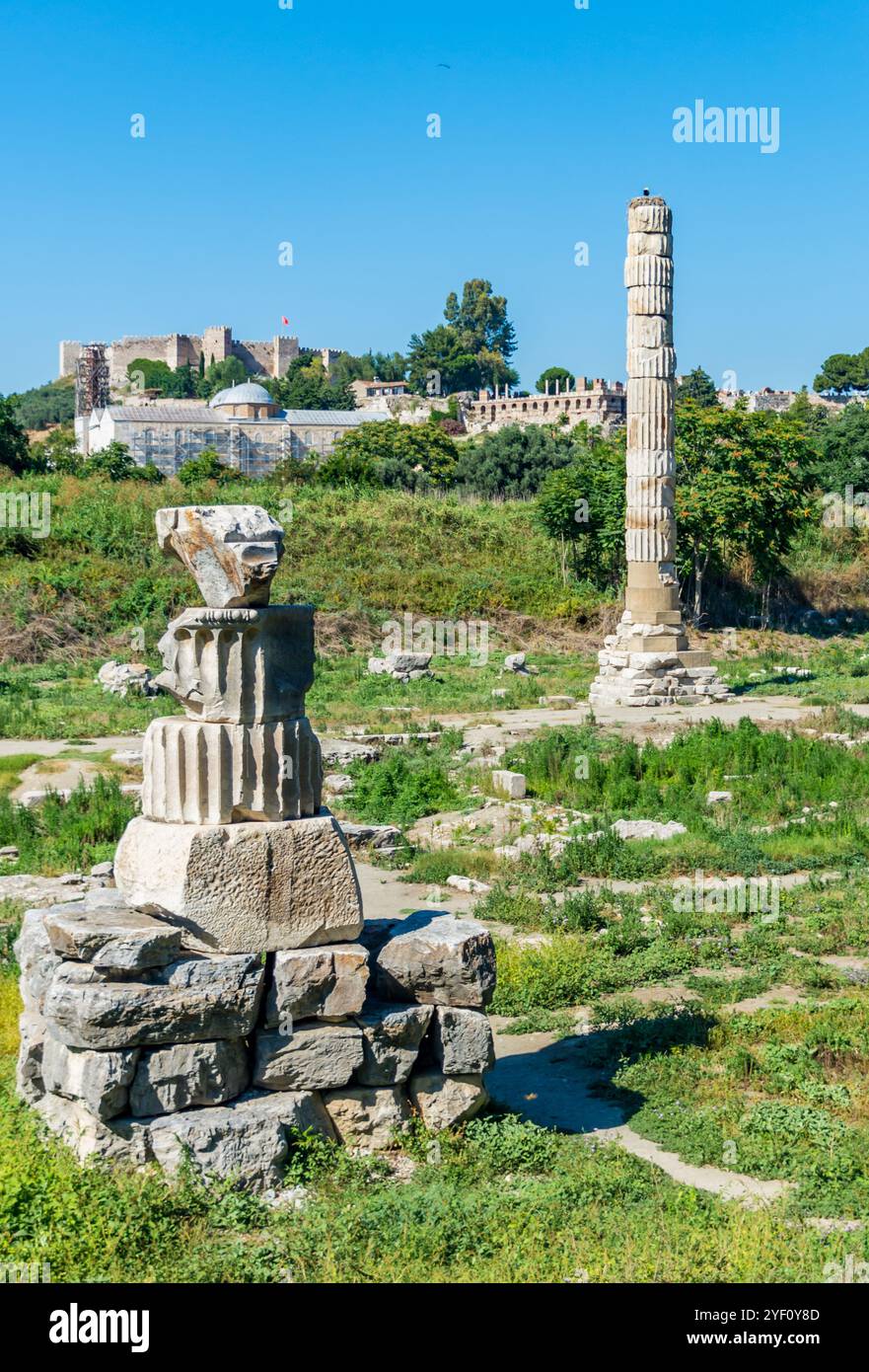 Ancient Wonder of the World Temple of Artemis Ruins in the Ancient ...