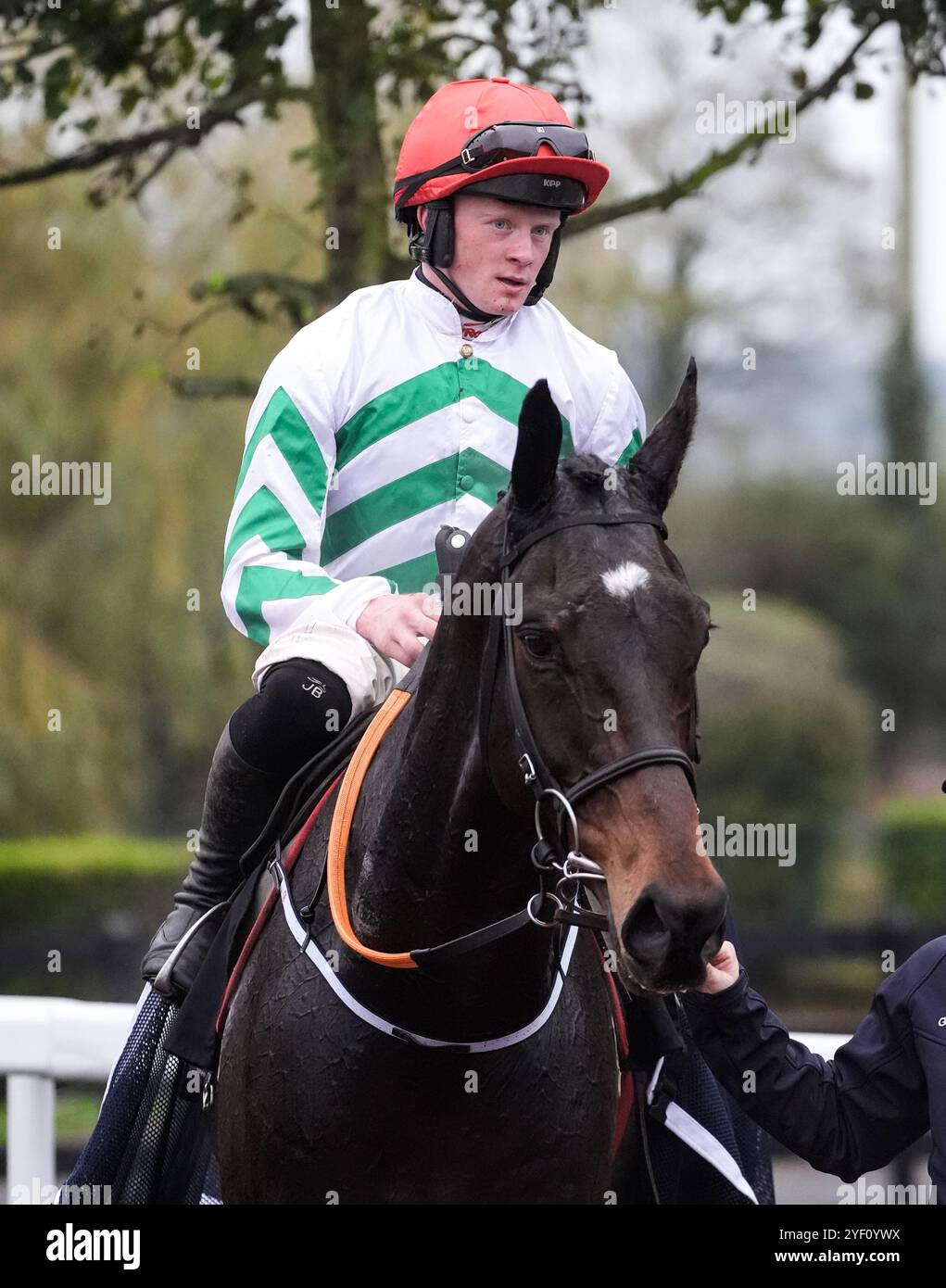 Found A Fifty and jockey Sam Ewing after winning the Bottlegreen Ladies ...