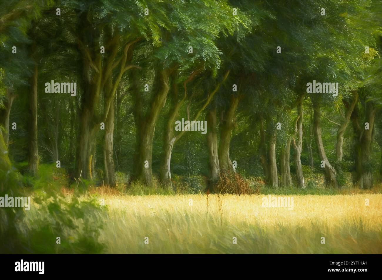 A rural British landscape digital oil painting of the beech trees and ...