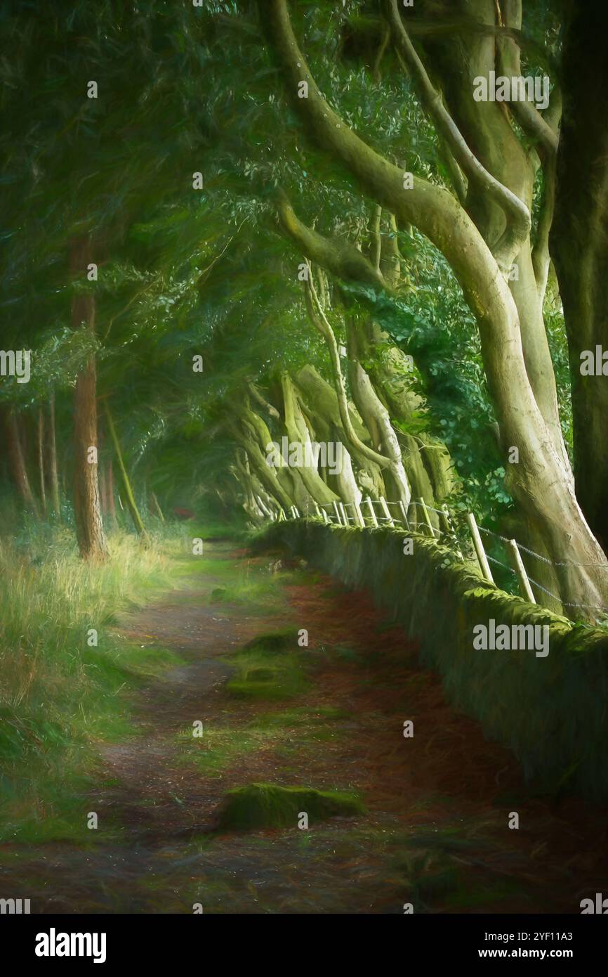 A rural British landscape digital oil painting of the beech trees and ...