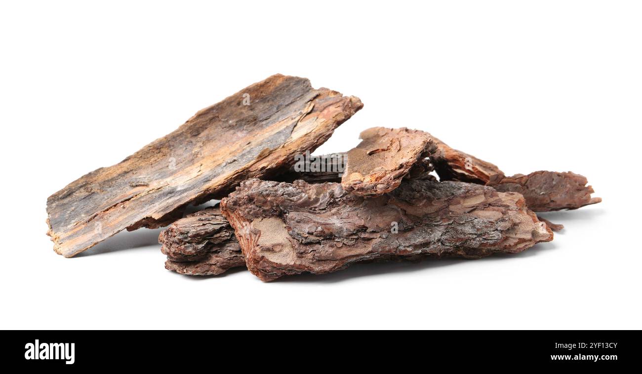 Tree bark on white hi-res stock photography and images - Alamy