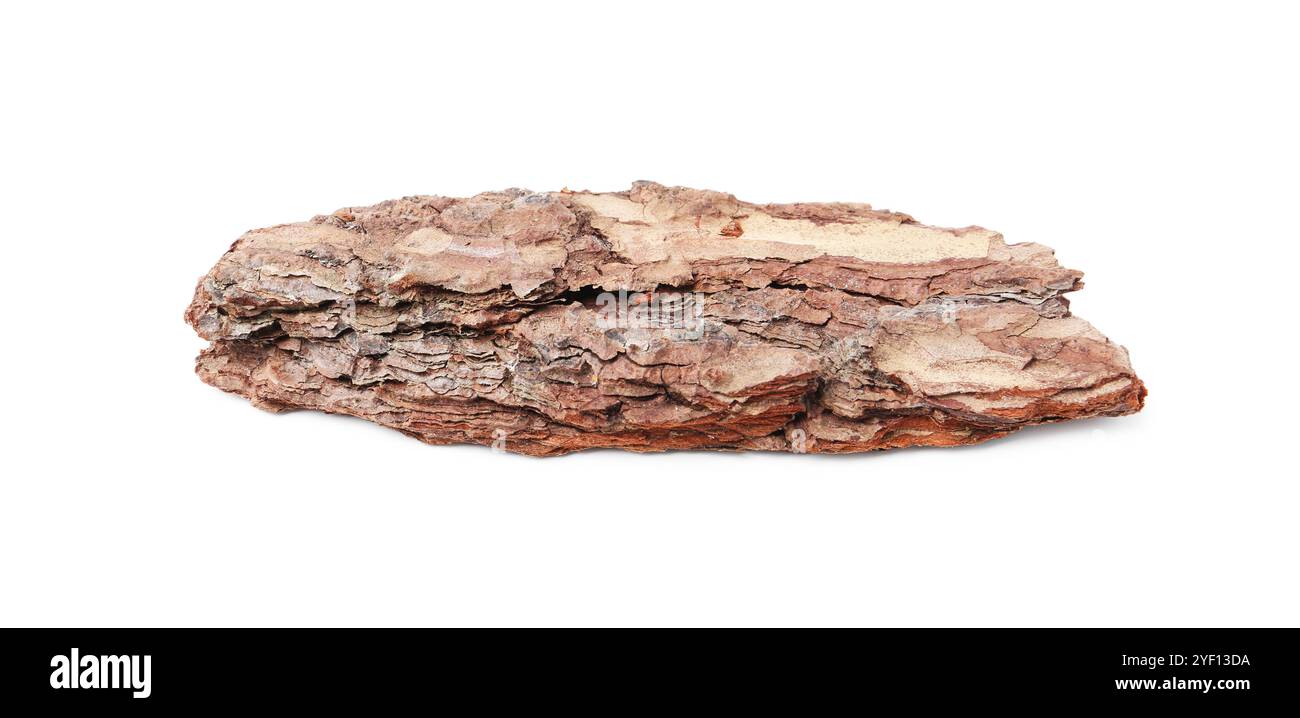 One piece of tree bark on white background Stock Photo - Alamy