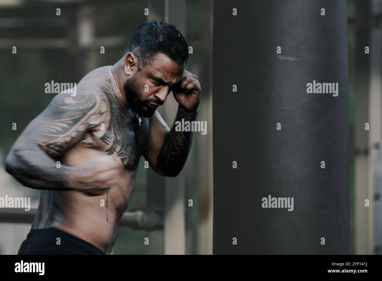 Punch. Portrait of muscular sport man. Fists fight. Mans fight, punches ...