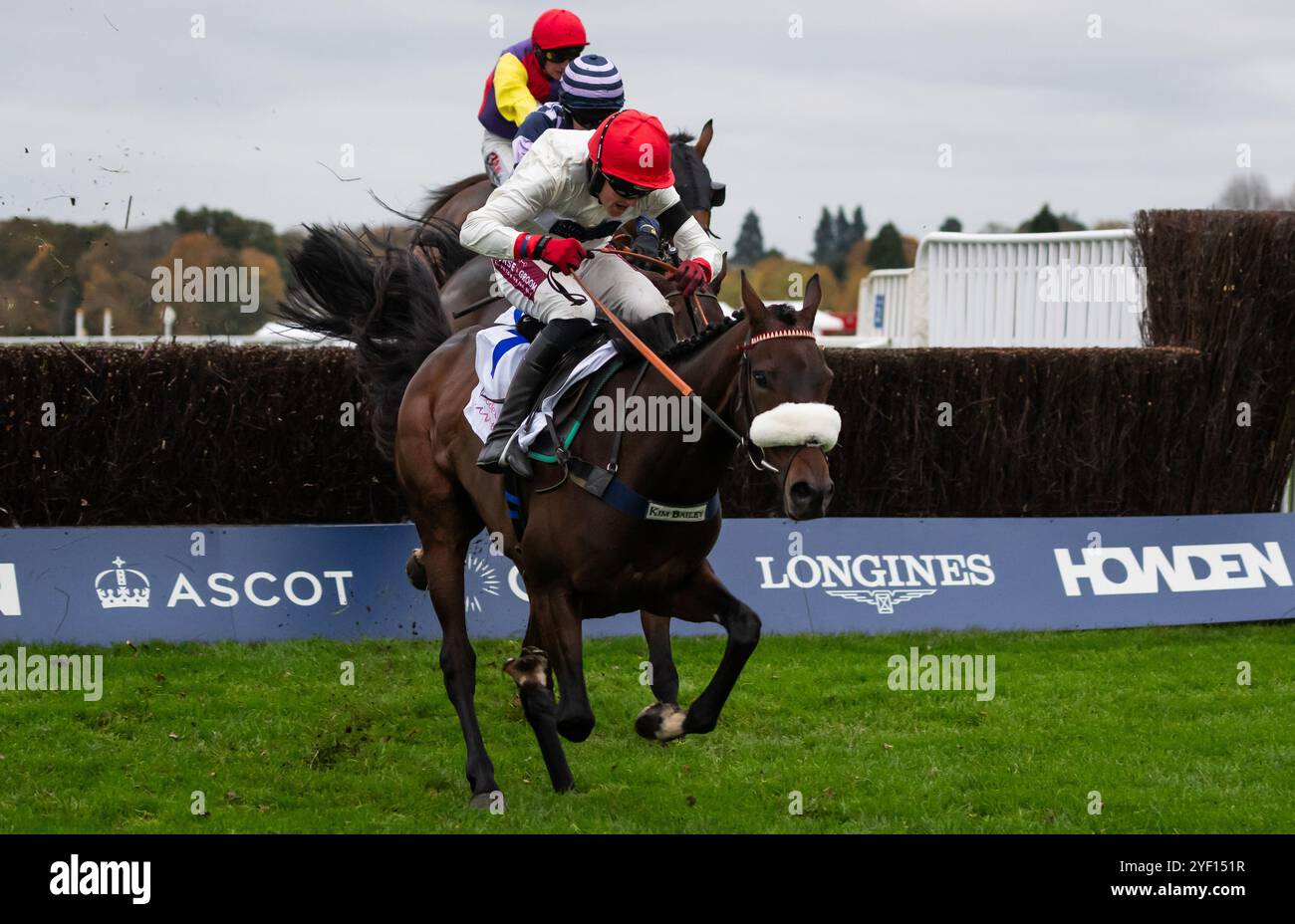 Ascot, UK, Saturday 2nd November 2024; Chianti Classico and jockey Tom ...
