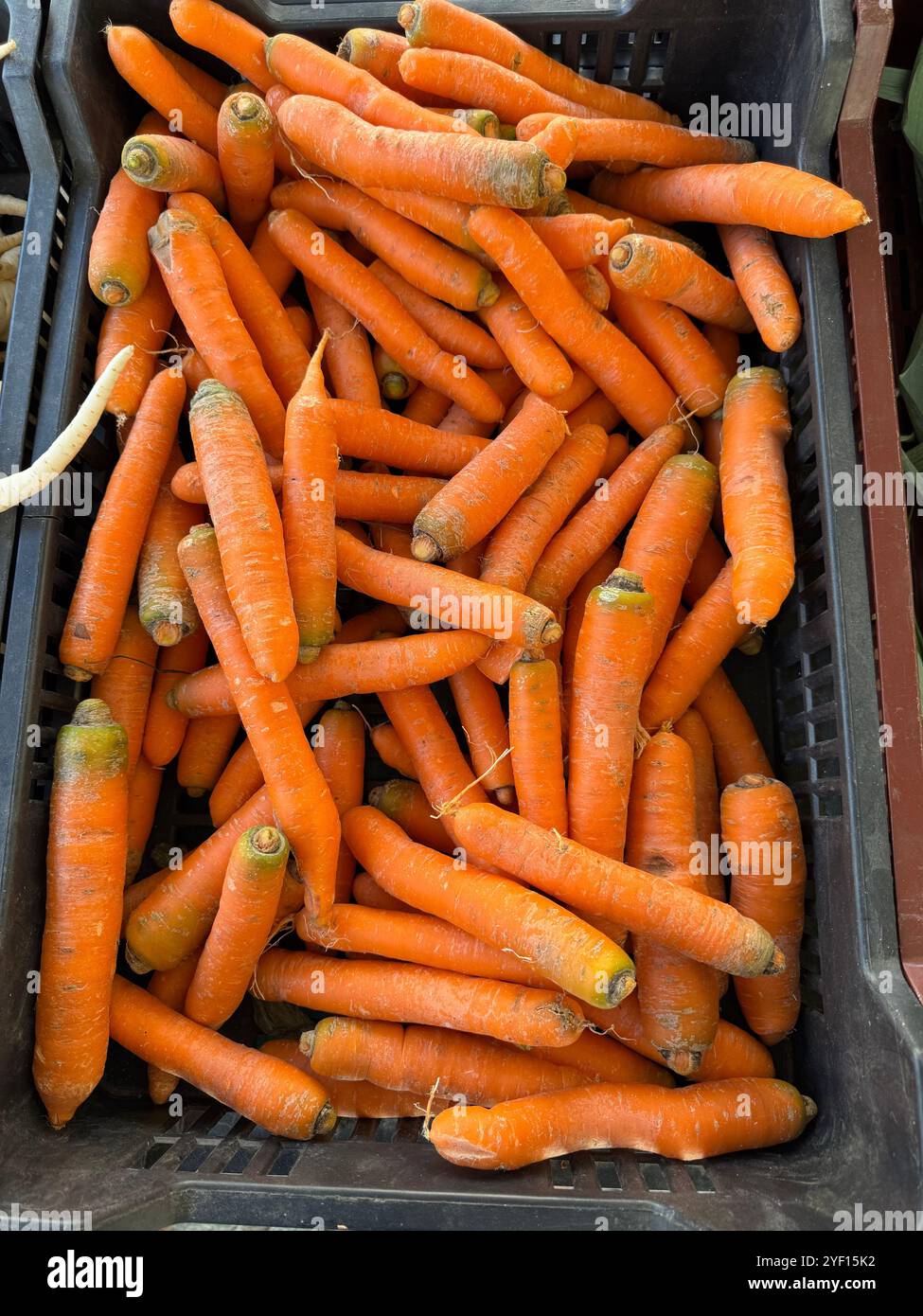Root crop in a box hi-res stock photography and images - Alamy