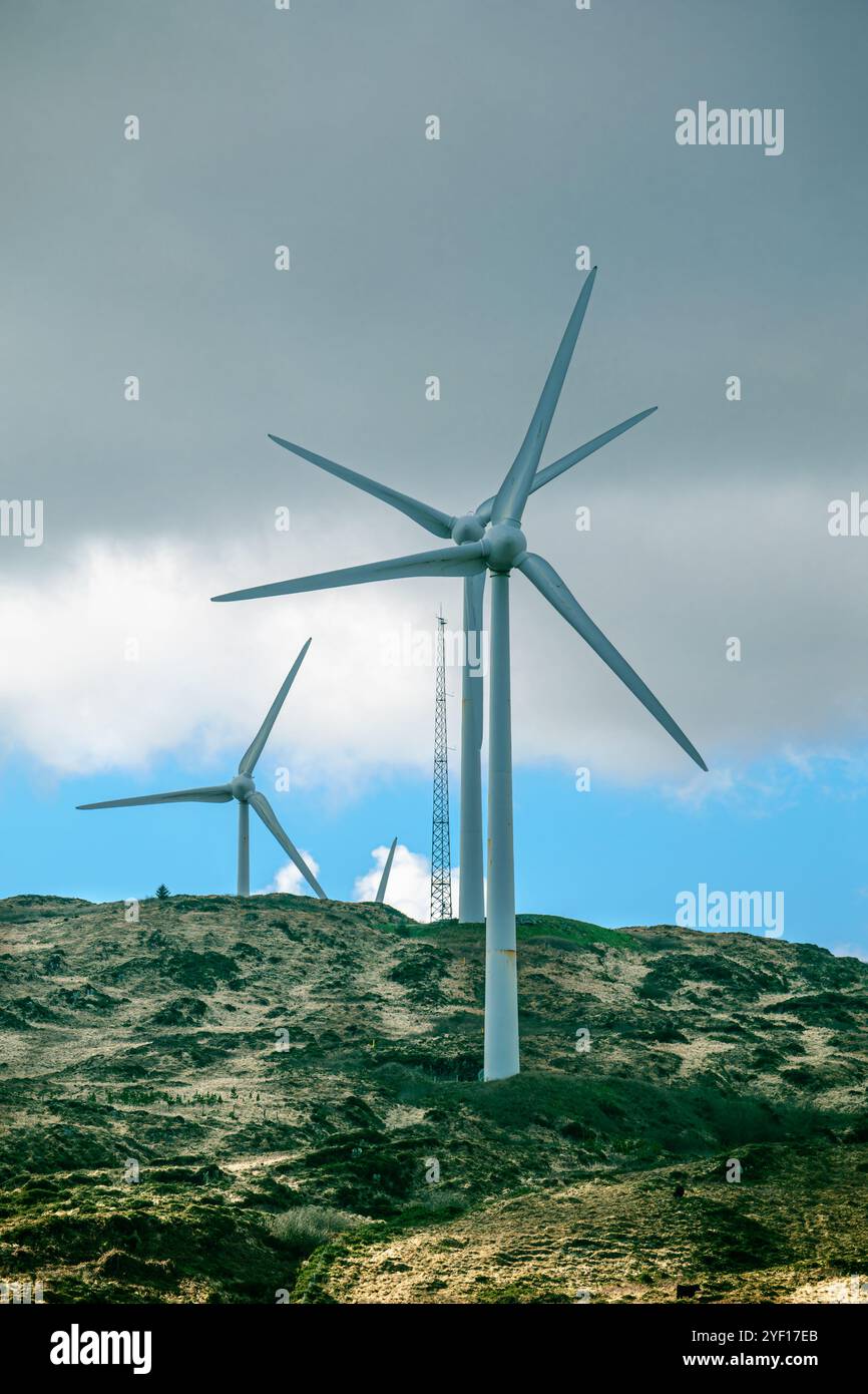 The wind turbines are part of a wind farm, a cluster of turbines harnessing the power of the ...