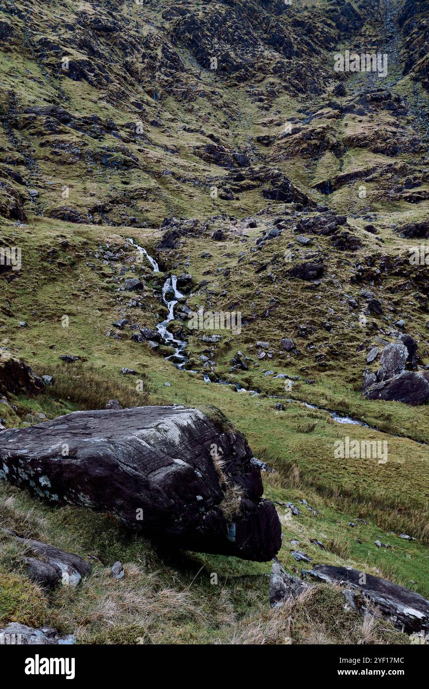 A gentle stream meanders through a rocky valley, bordered by vibrant ...