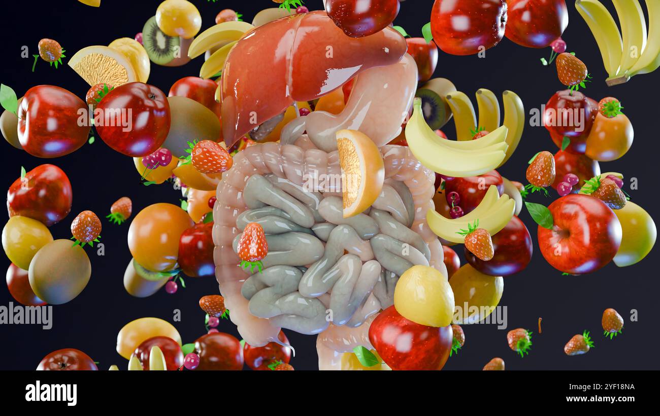 Stomach with fruits, Losing weight and nutrition, Healthy food for ...