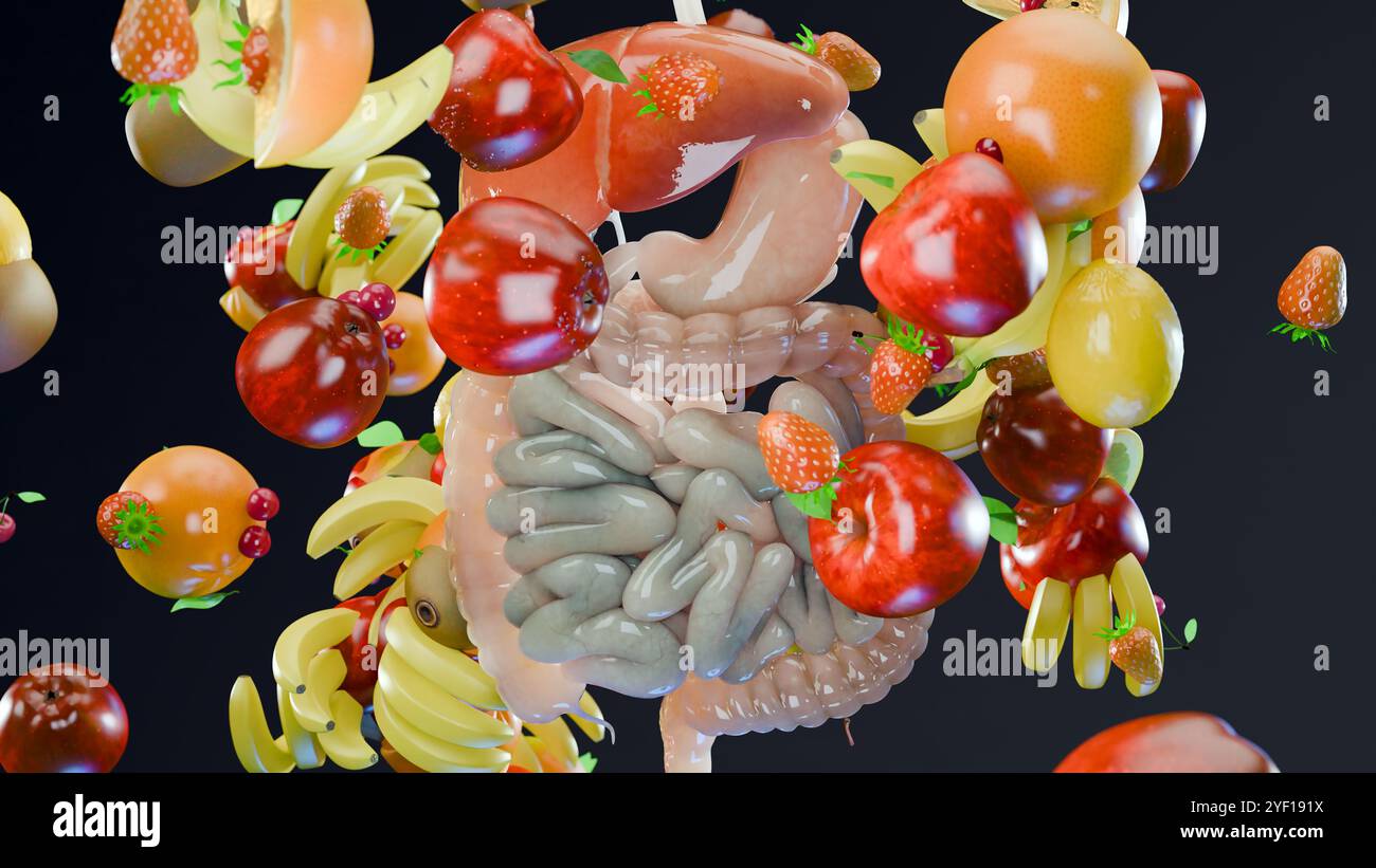 Stomach with fruits, Losing weight and nutrition, Healthy food for ...