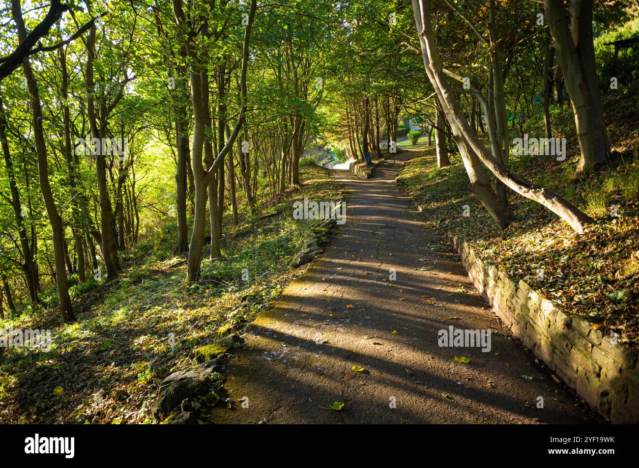 One of the many paths in the South Cliff gardens at Scarborough Stock Photo - Alamy