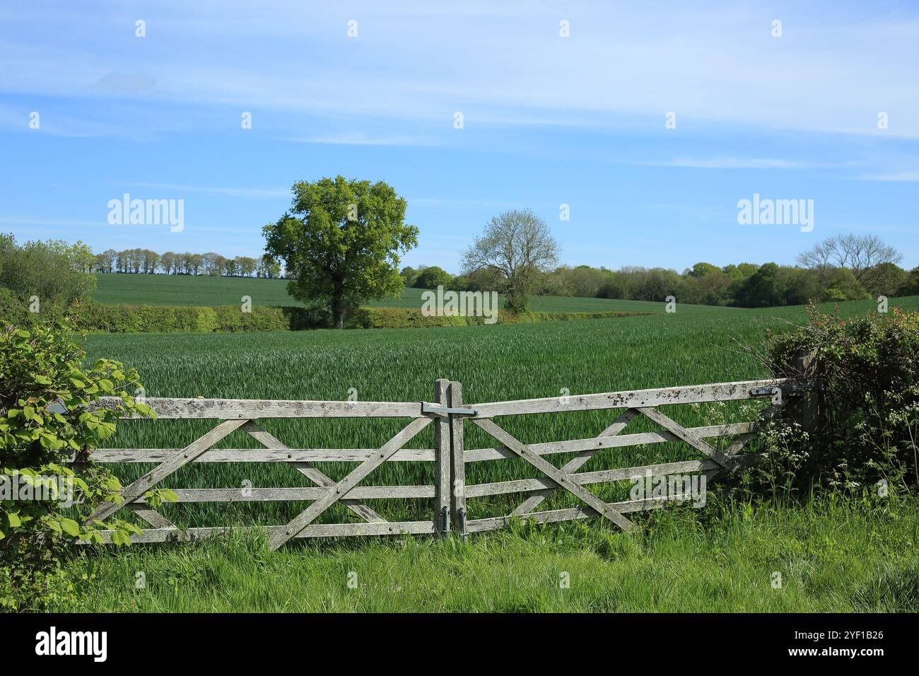 Double farm gate at the entrance to a field at George's Hill ...