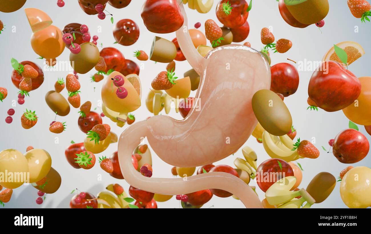 Stomach with fruits, Losing weight and nutrition, Healthy food for ...