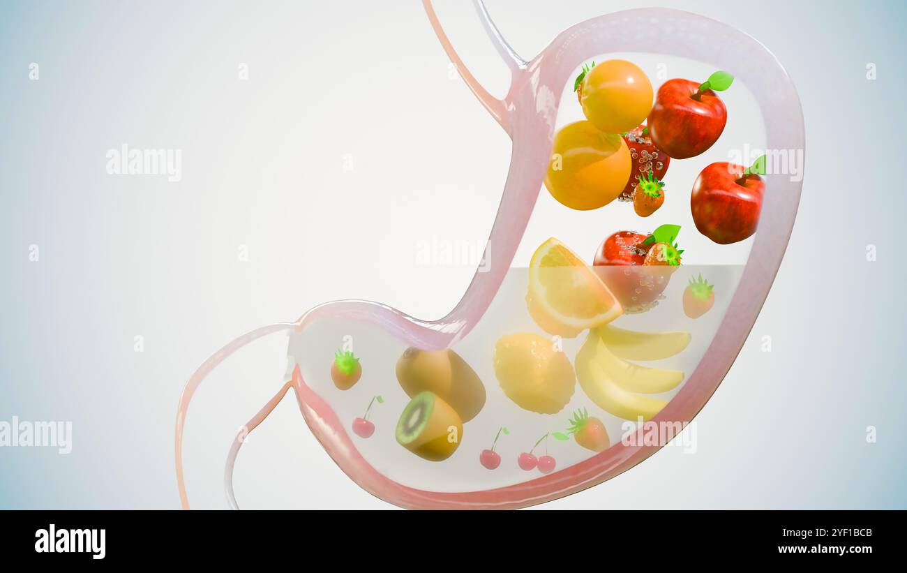 Stomach with fruits, Losing weight and nutrition, Healthy food for ...