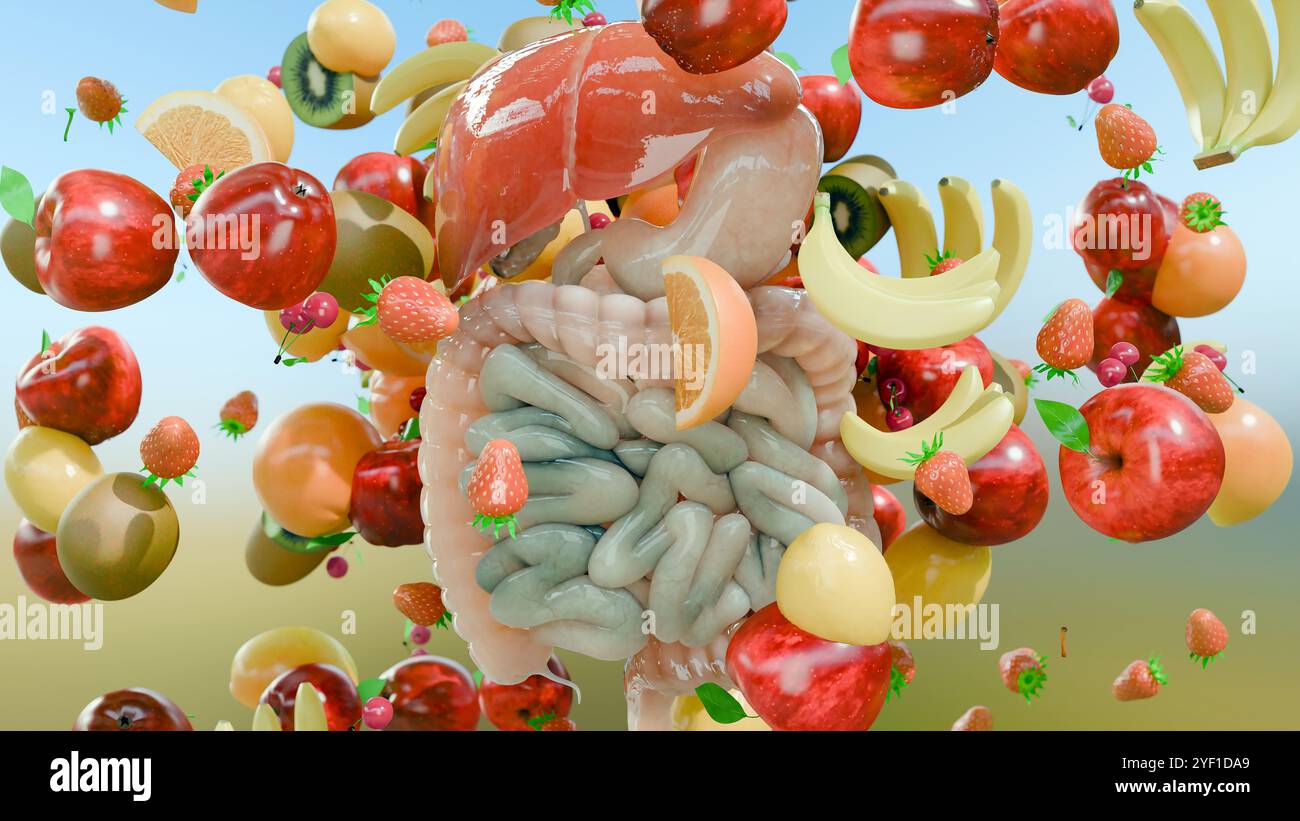 Stomach with fruits, Losing weight and nutrition, Healthy food for ...