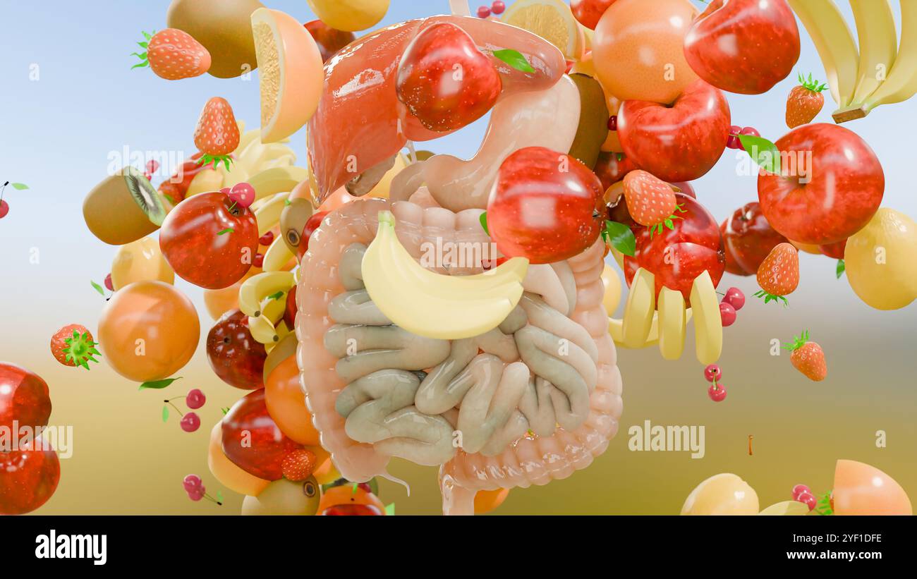 Stomach with fruits, Losing weight and nutrition, Healthy food for ...