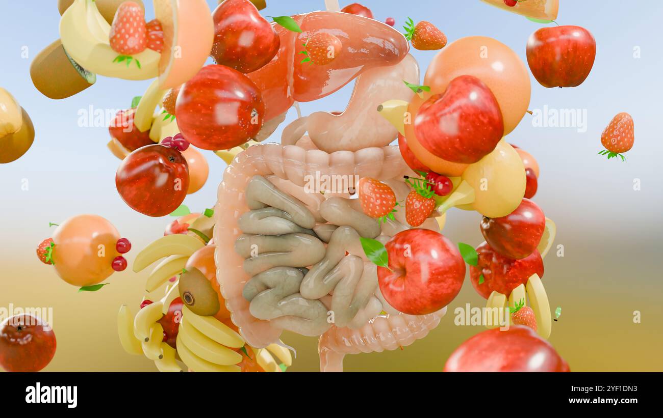 Stomach with fruits, Losing weight and nutrition, Healthy food for ...