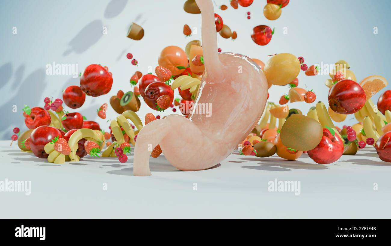 Stomach with fruits, Losing weight and nutrition, Healthy food for ...