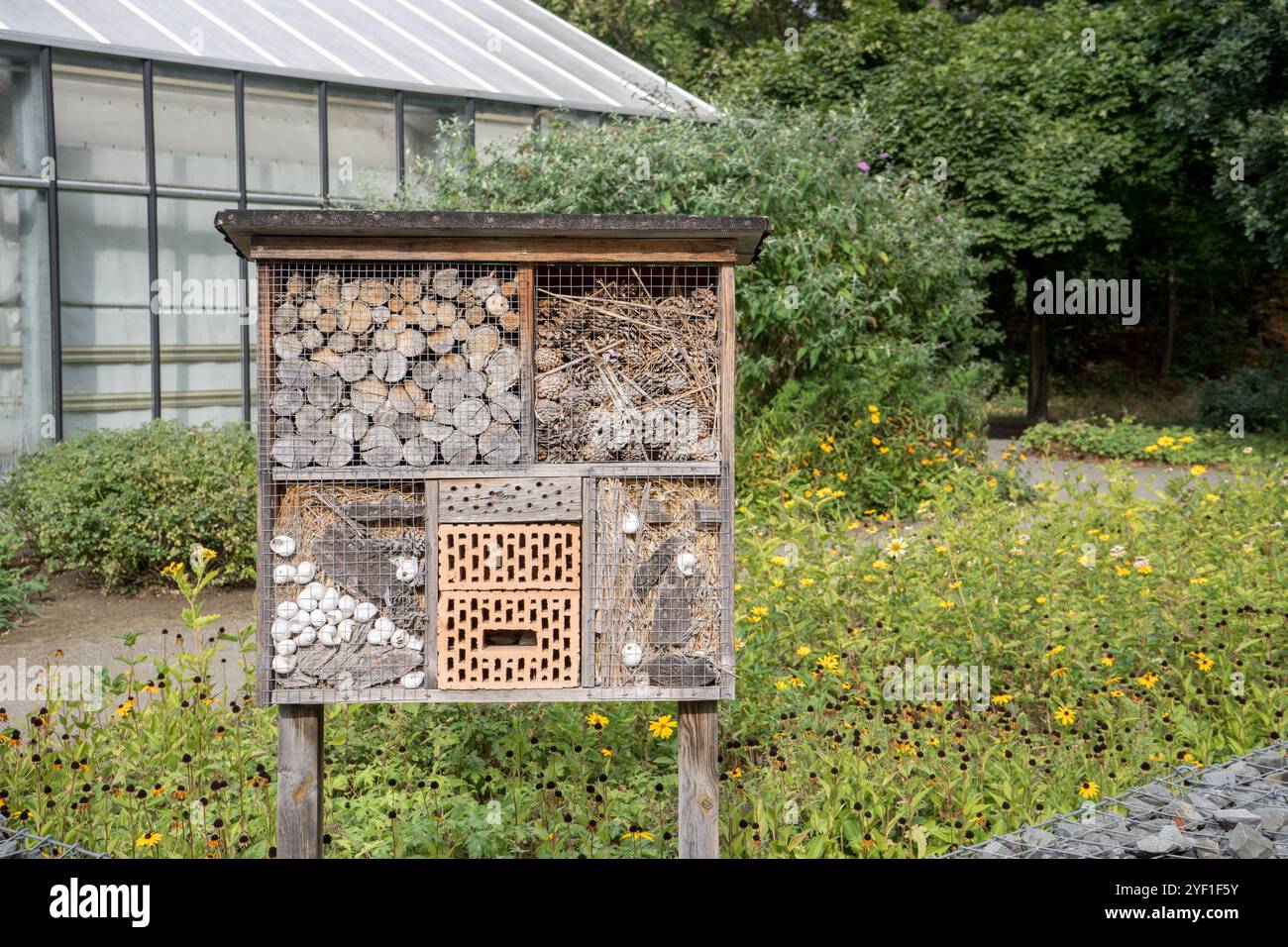 Natural garden with flower beds, greenhouse and insect hotel Stock ...