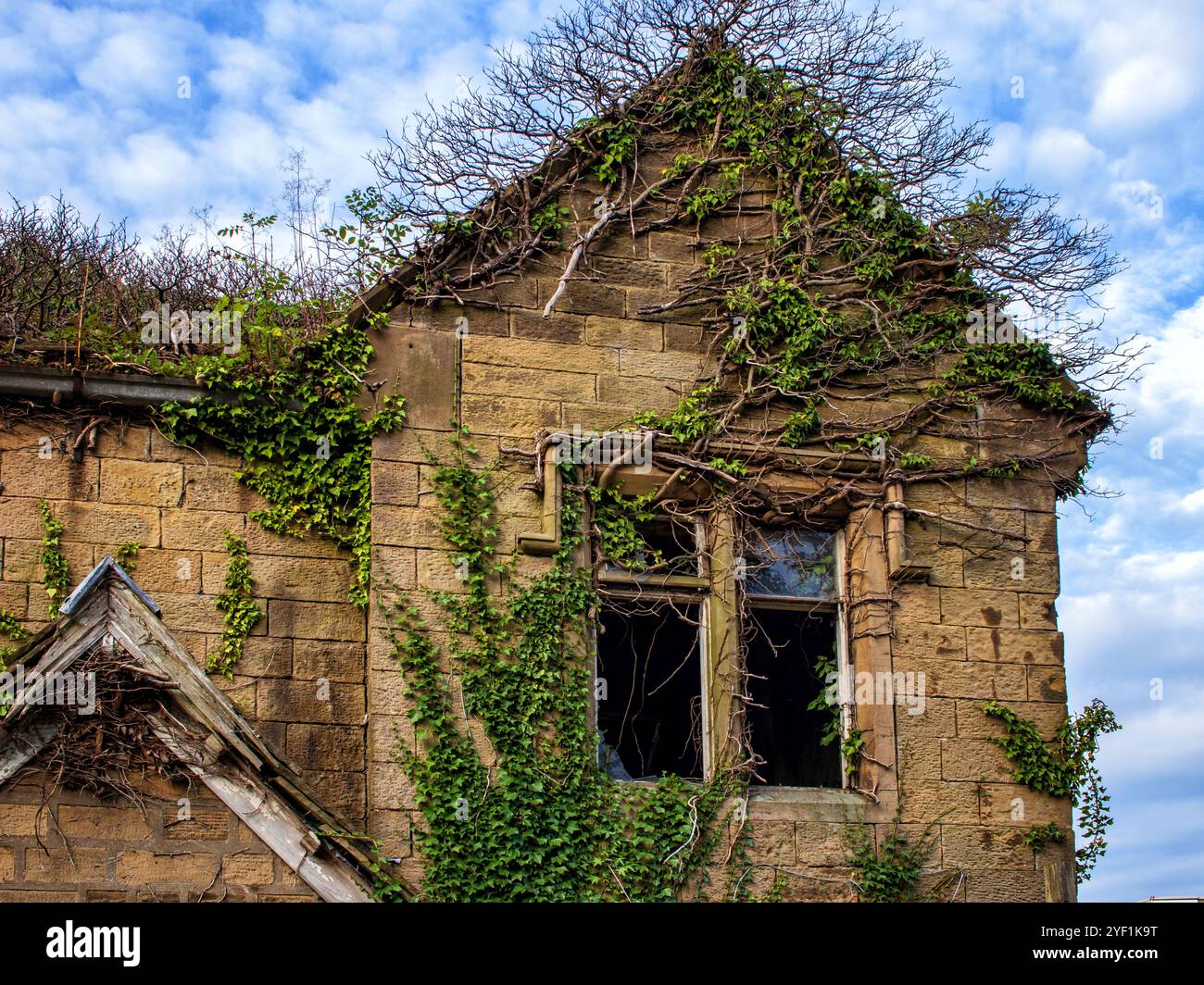 The abstract concept of dereliction: an old stone building overgrown ...