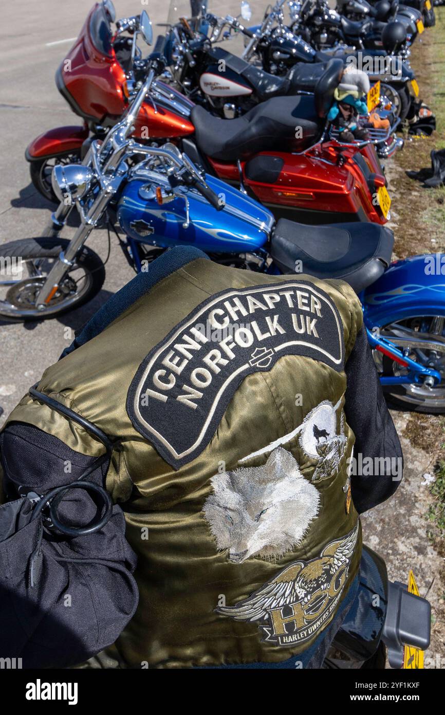 A row of Harley Davidson motorbike cruisers in the summer sunshine at a ...