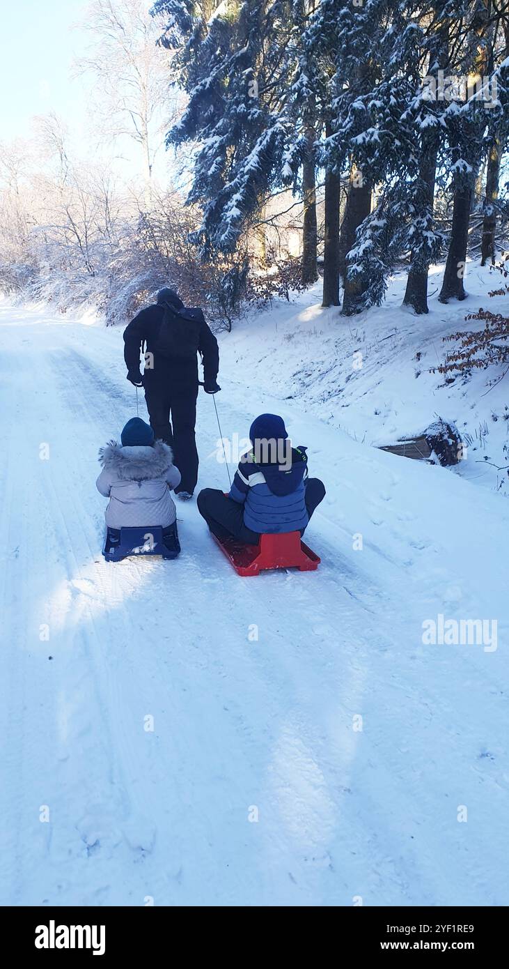 Little girls and boys sledding in mountains. Children play outdoors on ...