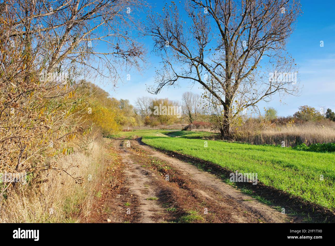 Area rular hi-res stock photography and images - Alamy
