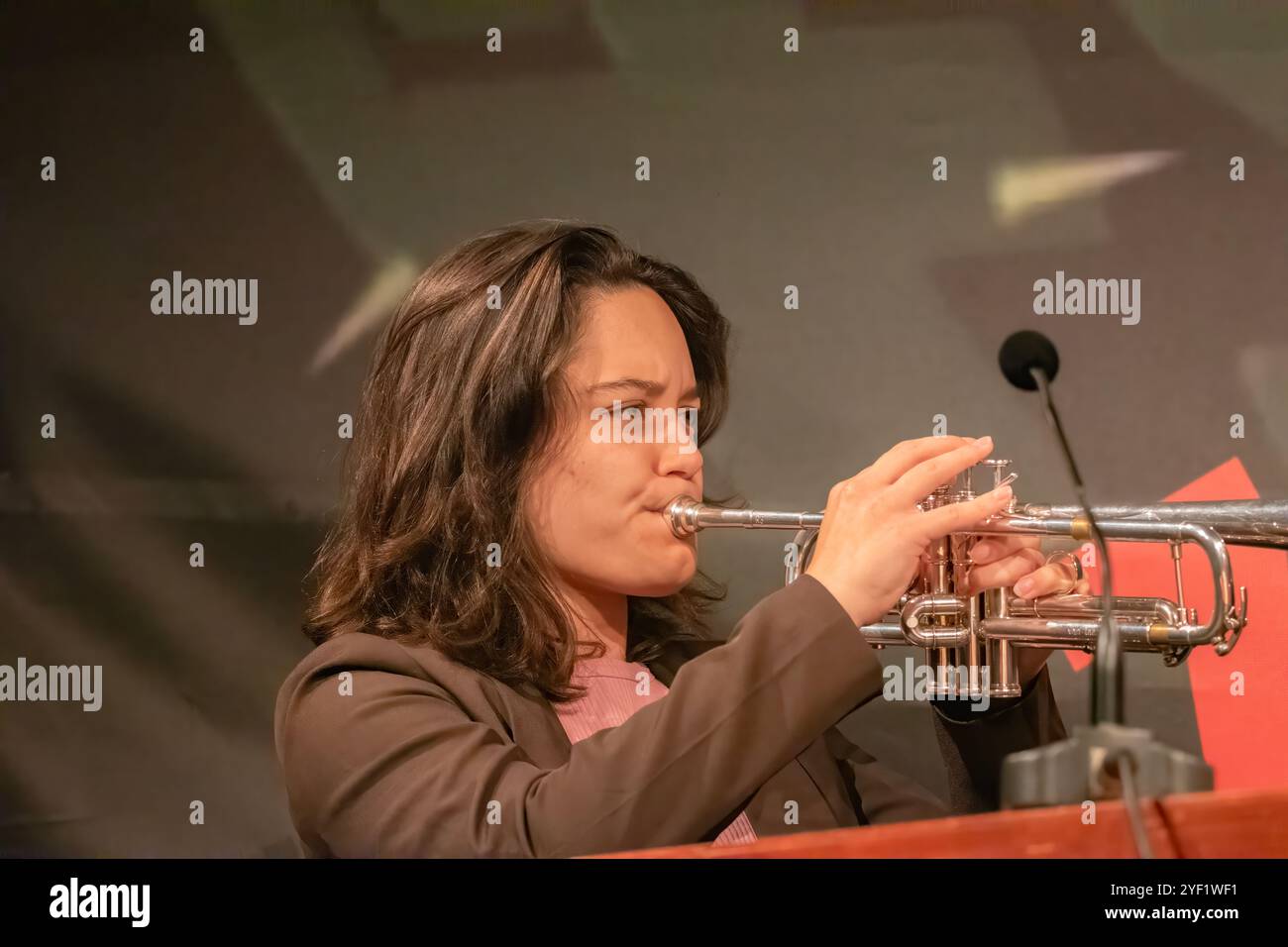 Amsterdam, Netherlands. 2nd Nov 2024. Memorial Show For Theo Van Gogh ...