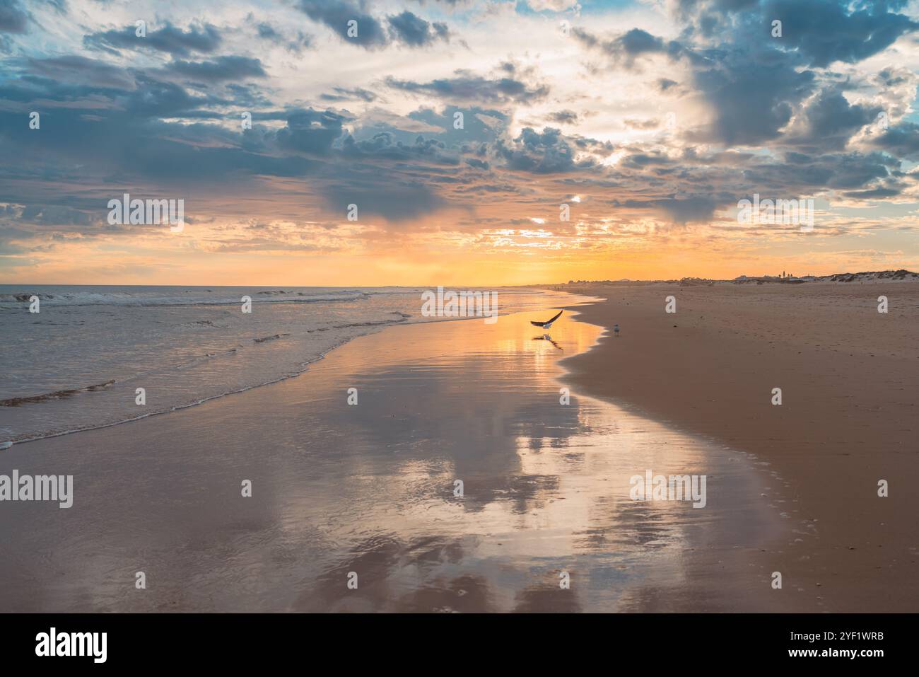 Vibrant dramatic seaside atmosphere hi-res stock photography and images ...