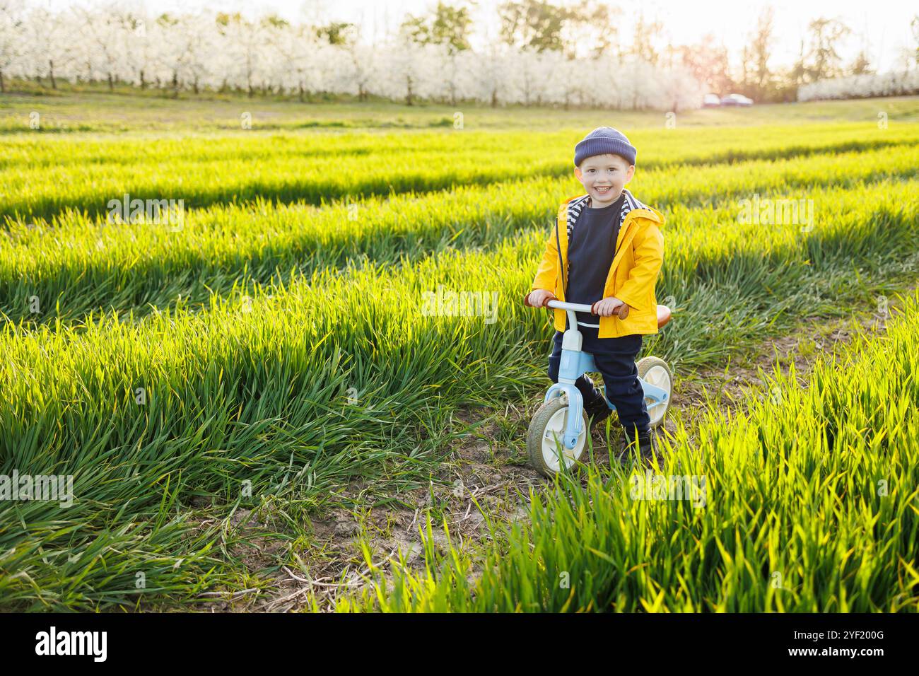 A little boy rides a blue balance bike, running bike. A happy child is learning to balance on an ...