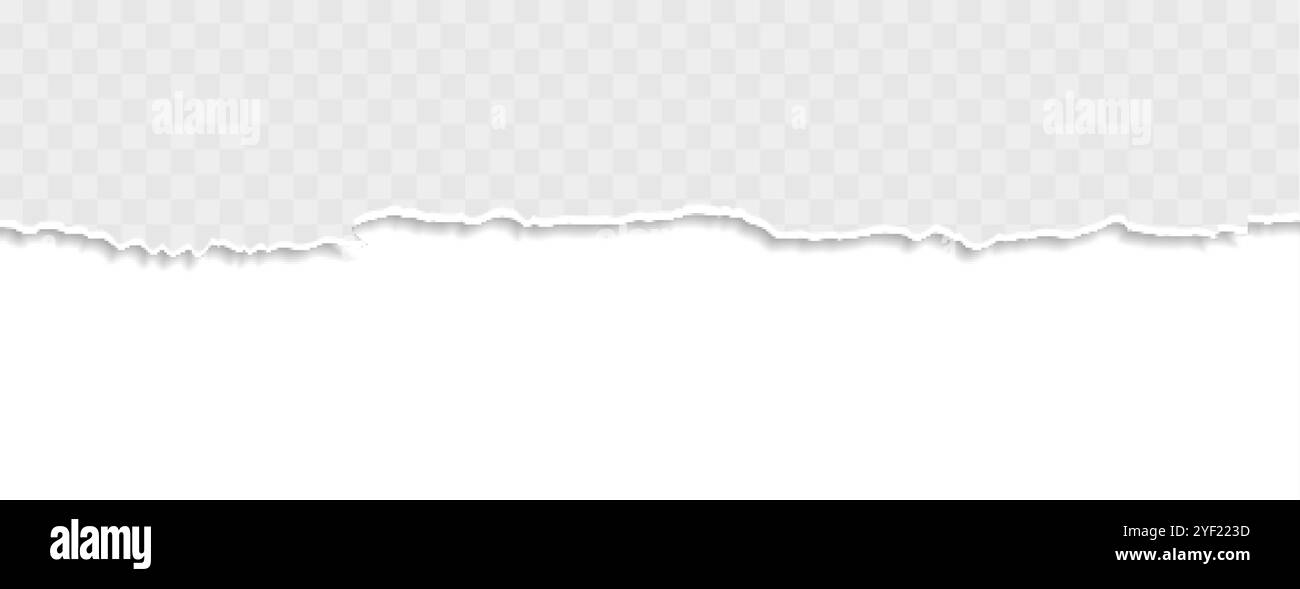 ripped torn paper banner in white color Stock Vector Image & Art - Alamy