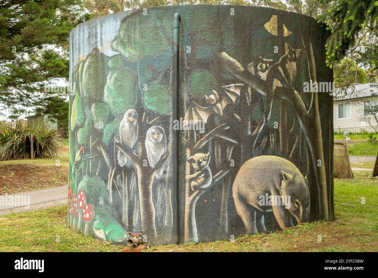 Kinglake victoria australia hi-res stock photography and images - Alamy