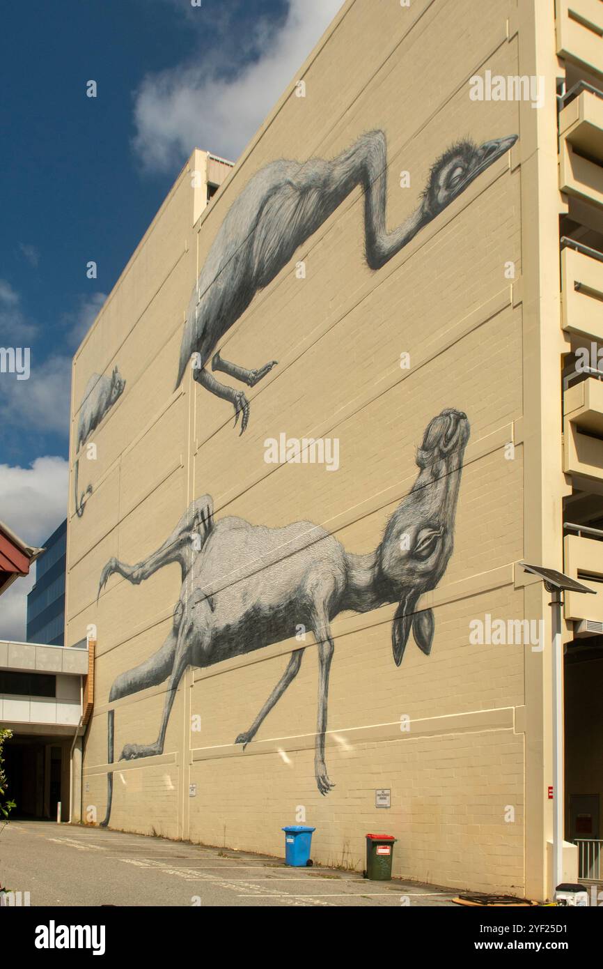 Street Art by ROA, Subiaco, Perth, Western Australia, Australia Stock ...