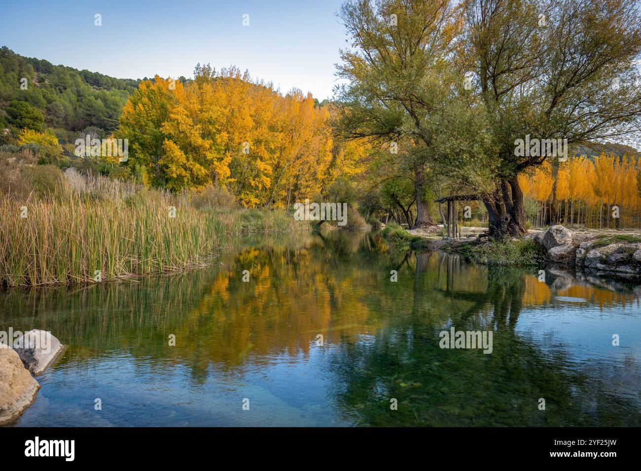 View of the reflection of the trees in autumn on the river, in the ...