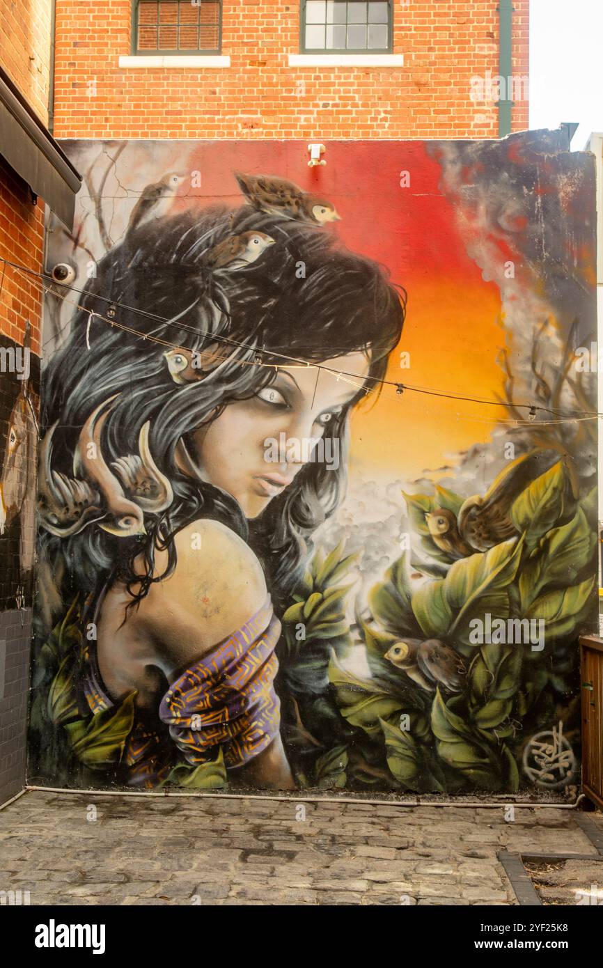 Street Art by Jackson Harvey, Perth, Western Australia, Australia Stock ...