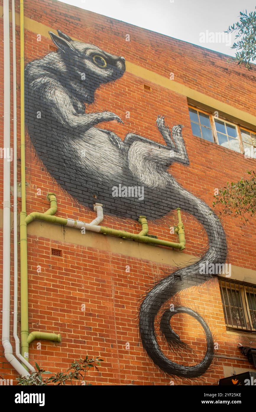 Street rat hi-res stock photography and images - Alamy